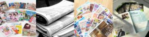 What Is Pulp Material? The Ultimate Guide | Honeyoung